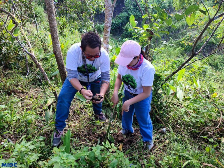 MIDC Takes the Initiative for a Greener Future with a Tree Growing ...
